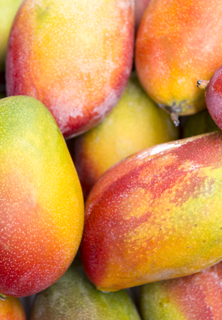 Mango Recycling | Coventry University